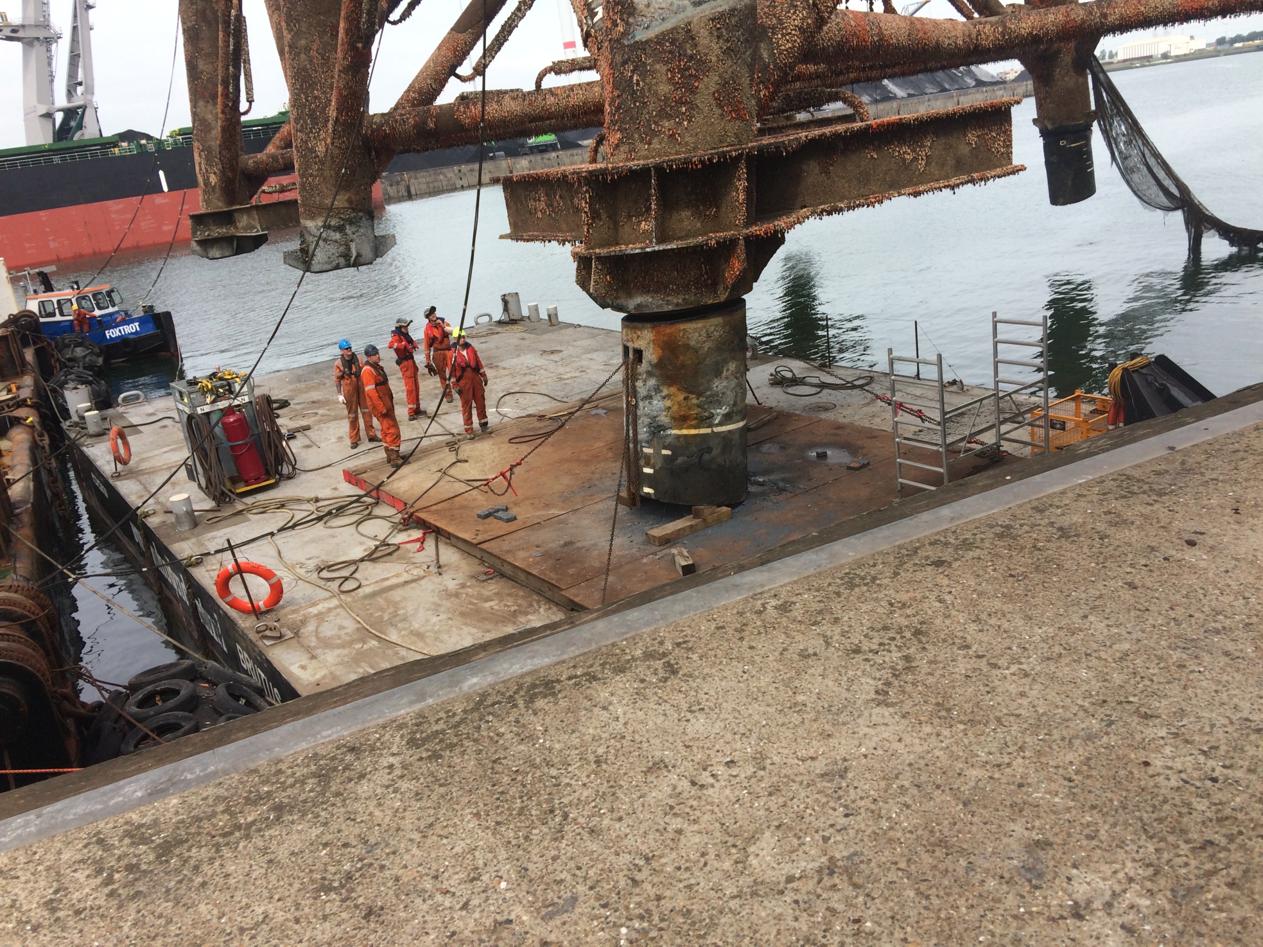 Experience - HSD B.V.